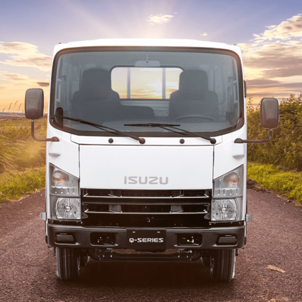 CAMION (1) | Isuzu de Canella